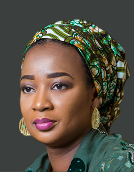 Group Head, Business Development and Strategy - Matrix Energy Group